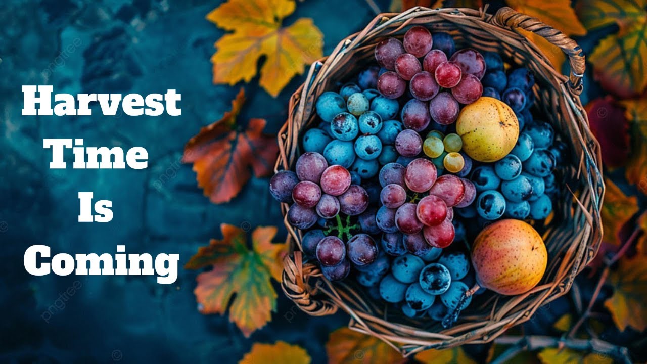 "Harvest Time Is Coming" // Pastor Marcus Green // 3.9.25 - YouTube