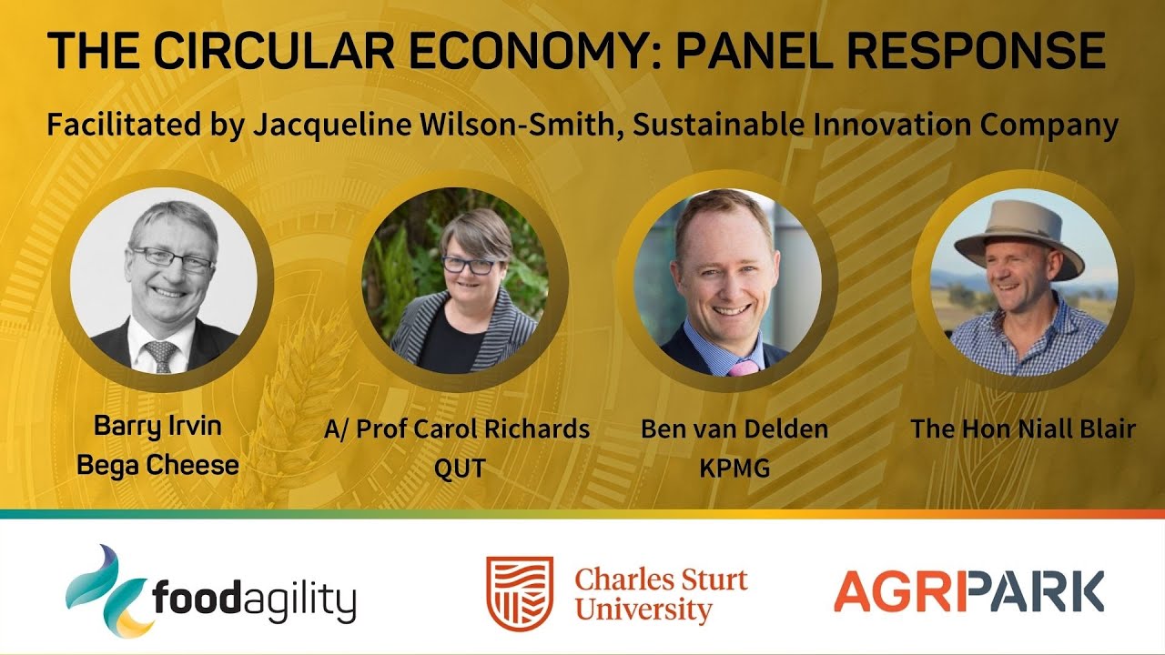 DAS22: The Circular Economy, Panel Response - YouTube