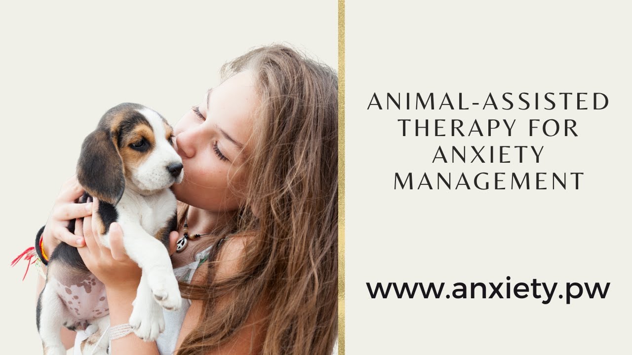 Pawsitive Healing: Animal Assisted Therapy for Anxiety Relief - YouTube