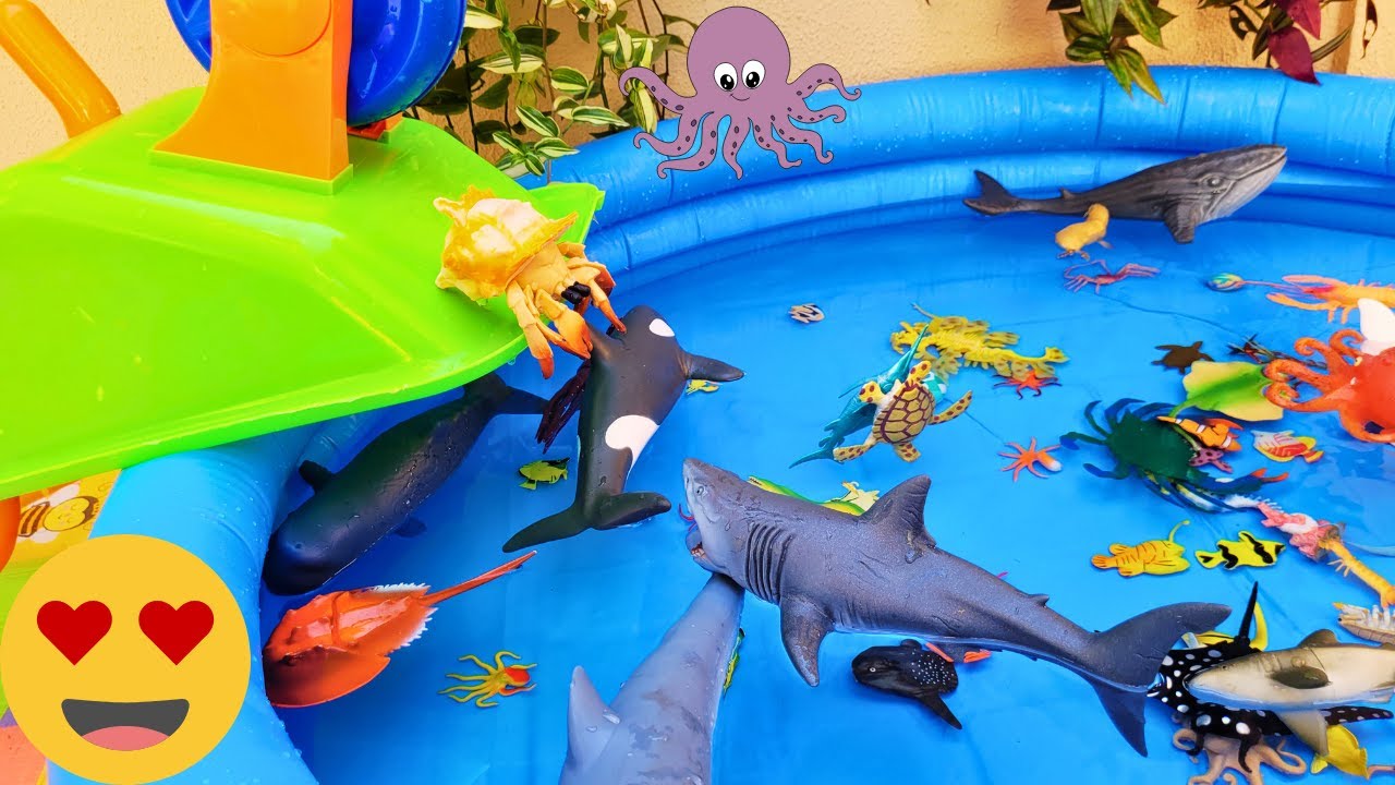 Sea Animals Creatures Pool Toys for Kids - YouTube