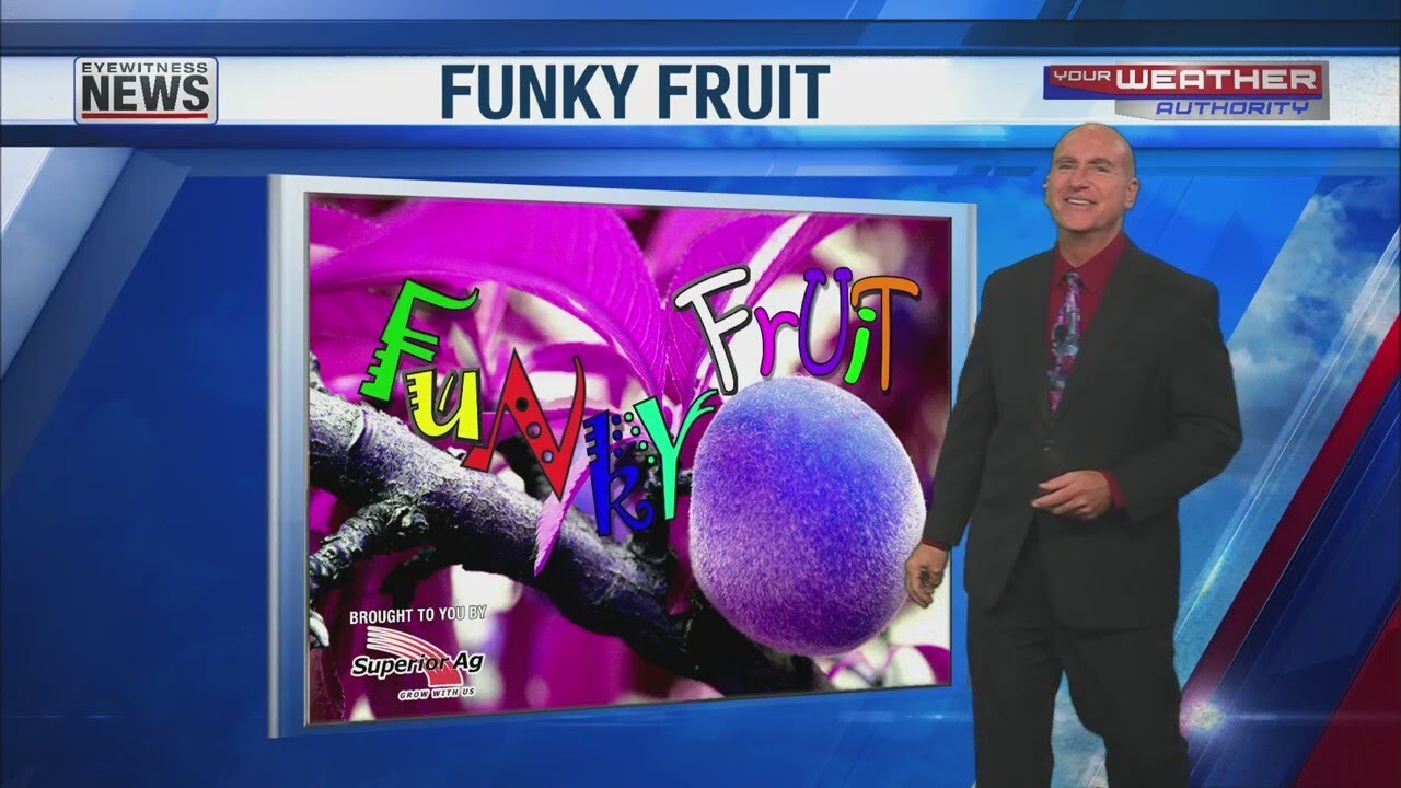FuNkY FrUiT Drunk Mater - YouTube