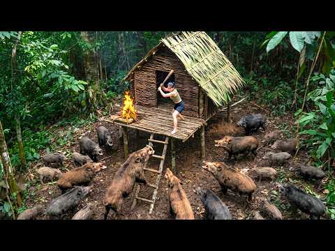 30 Days of Jungle Survival: Building an Elevated Vine Shelter and Hunting Wild Boar