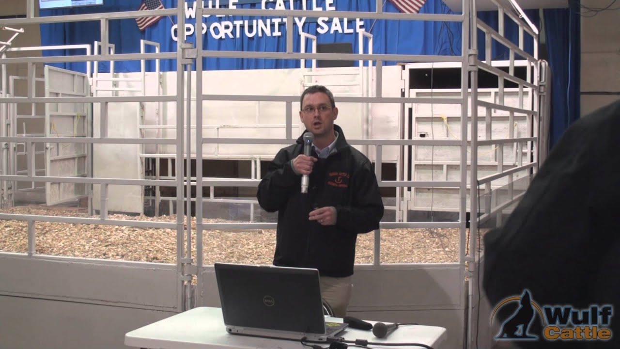 Wulf Cattle Seminar #1, Introduction and Dr. Matt Spangler - YouTube