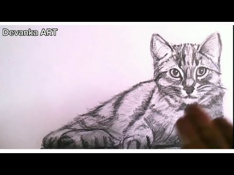 Tutorial menggambar kucing 🥰 - YouTube