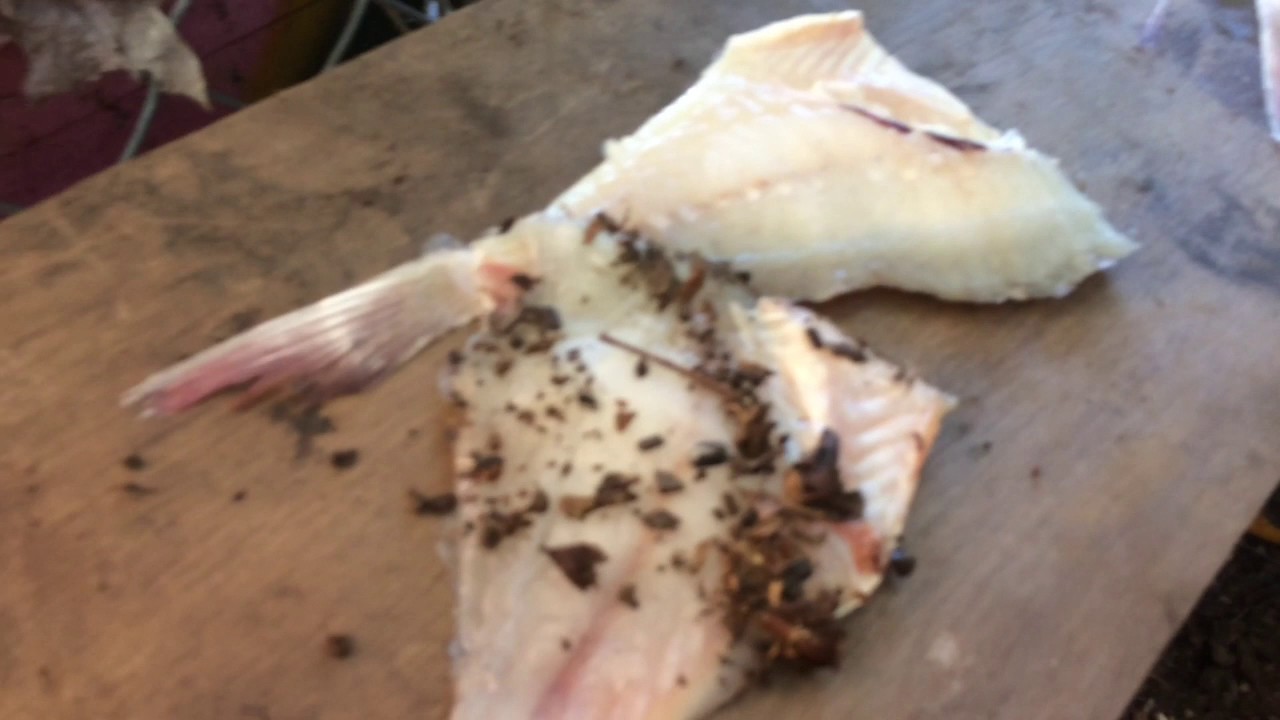 Catch And Cook Snapper Exploring Mud Island Moreton Bay - YouTube