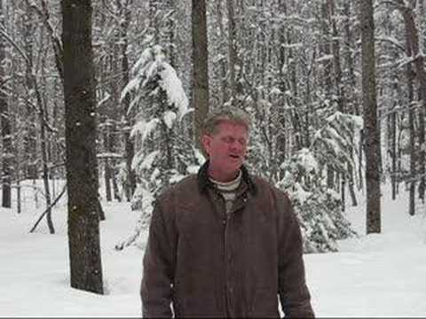 Asperges me - YouTube