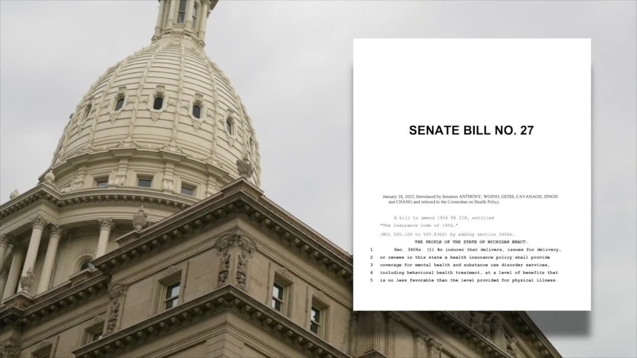 SENATE BILL 27: Equalizing mental health treatment - YouTube