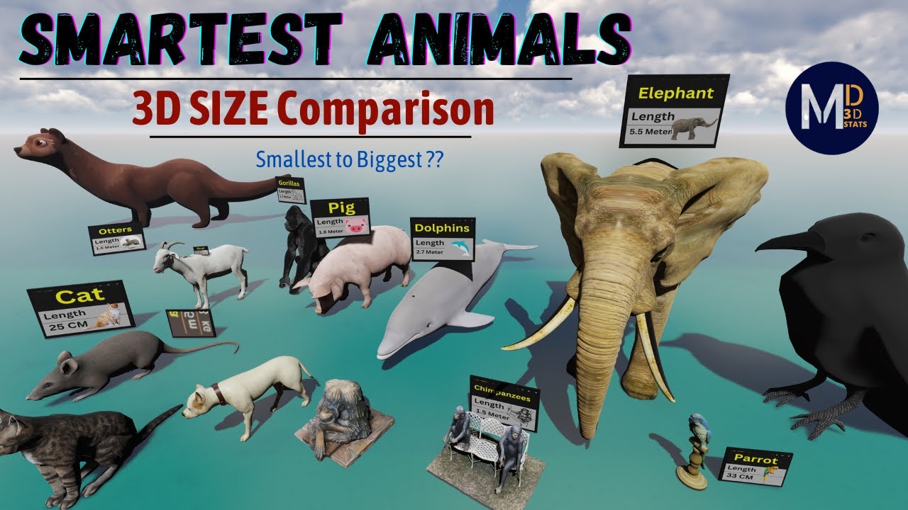 Smartest Animals In The World 3D Size Comparison🐷 🐘🦖🦙🐪 - YouTube