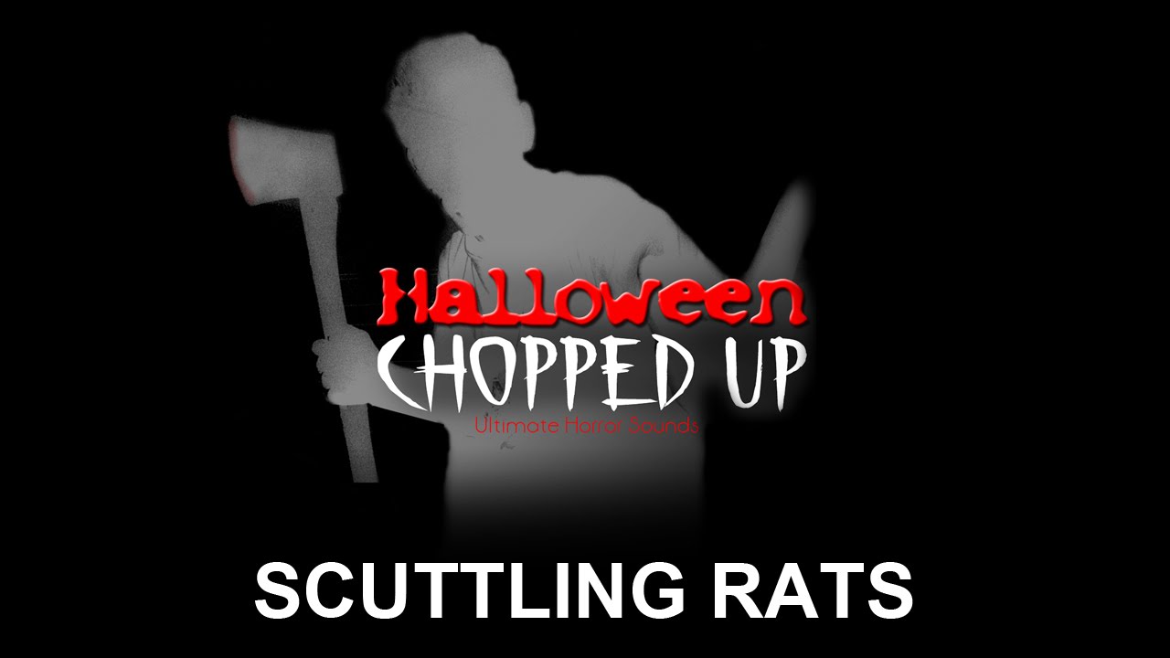 Scuttling Rats – Halloween Chopped Up - Halloween Sound Effects - YouTube