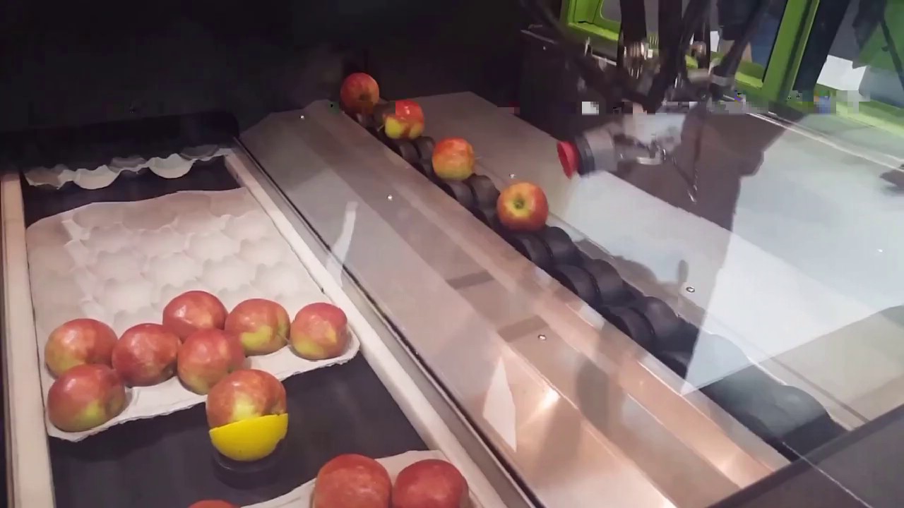 GREEFA Packing System Apples SmartPackr™ - YouTube