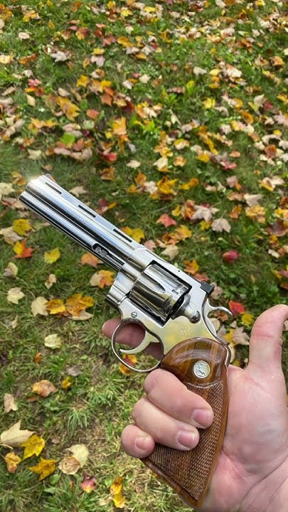 Colt Python 357 with Wilson Combat Sight #coltpython #357 - YouTube