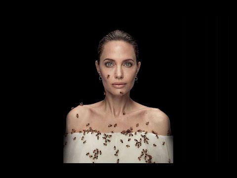 Angelina Jolie Didn't Shower for Three Days to Avoid Getting Stung in Bee Photoshoot