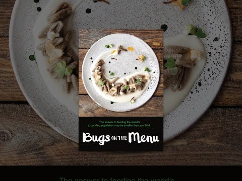 Bugs on the Menu - YouTube