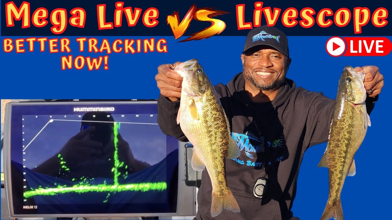 Livescope vs Mega Live - EXPOSED Tracking Enhancement! - YouTube