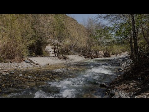 Bonita Ranch Campground & RV Sites- Lytle Creek, CA. - YouTube