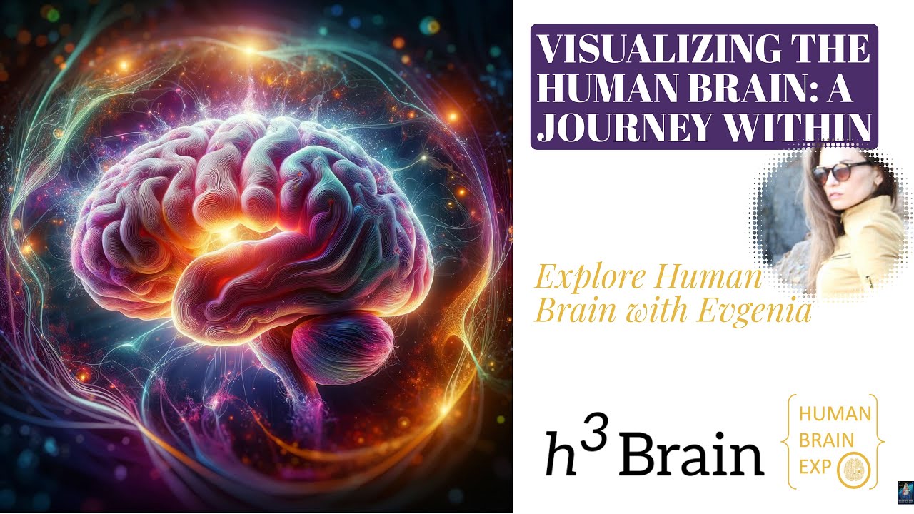 Visualizing the Human Brain: A Journey Within - YouTube