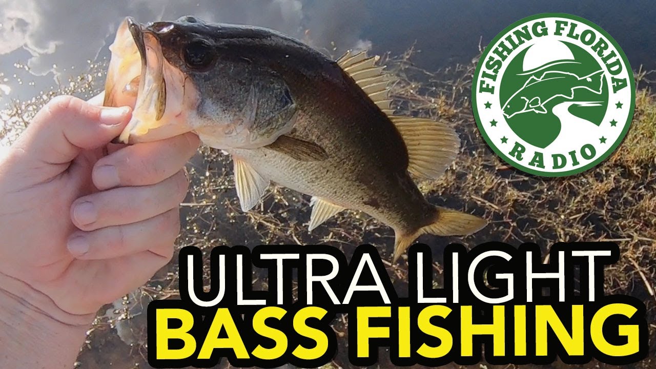 TWO POUND LINE - ULTRA LIGHT BASS FISHING - Largemouth Bass Fishing ...
