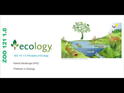Ecology lecture 2 Introduction to Ecology - YouTube