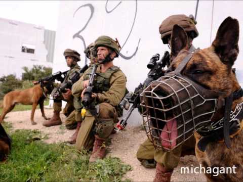 tribute to idf -צה"ל -israeli special forces -israeli Border police ...