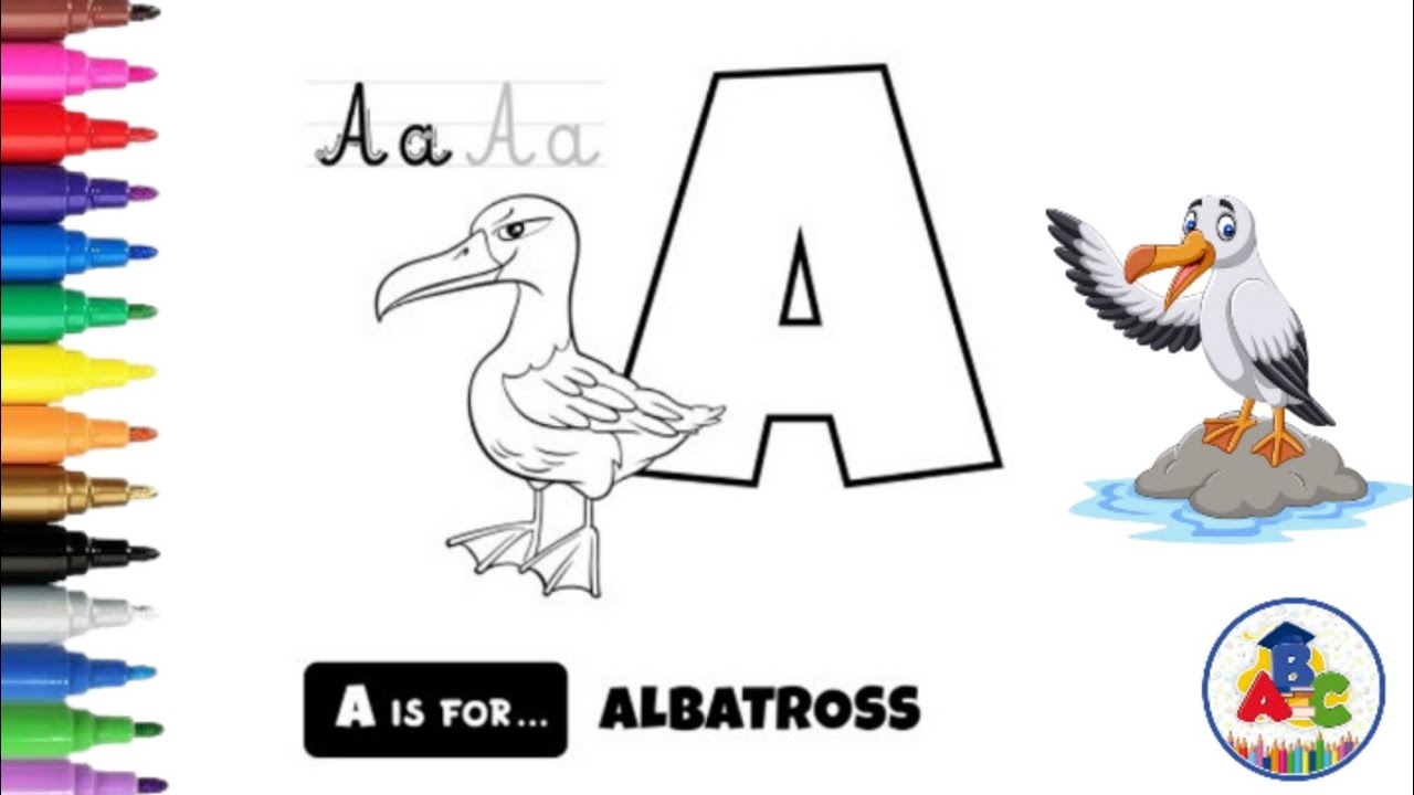 A for Albatross 🕊️ beautiful bird drwaing | Colours for Kids| Alphabet ...