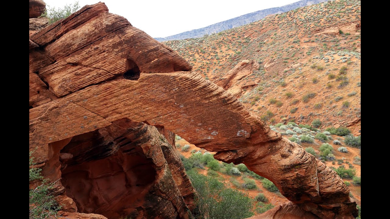 Elephant Arch - The Red Cliff Desert Reserve - YouTube