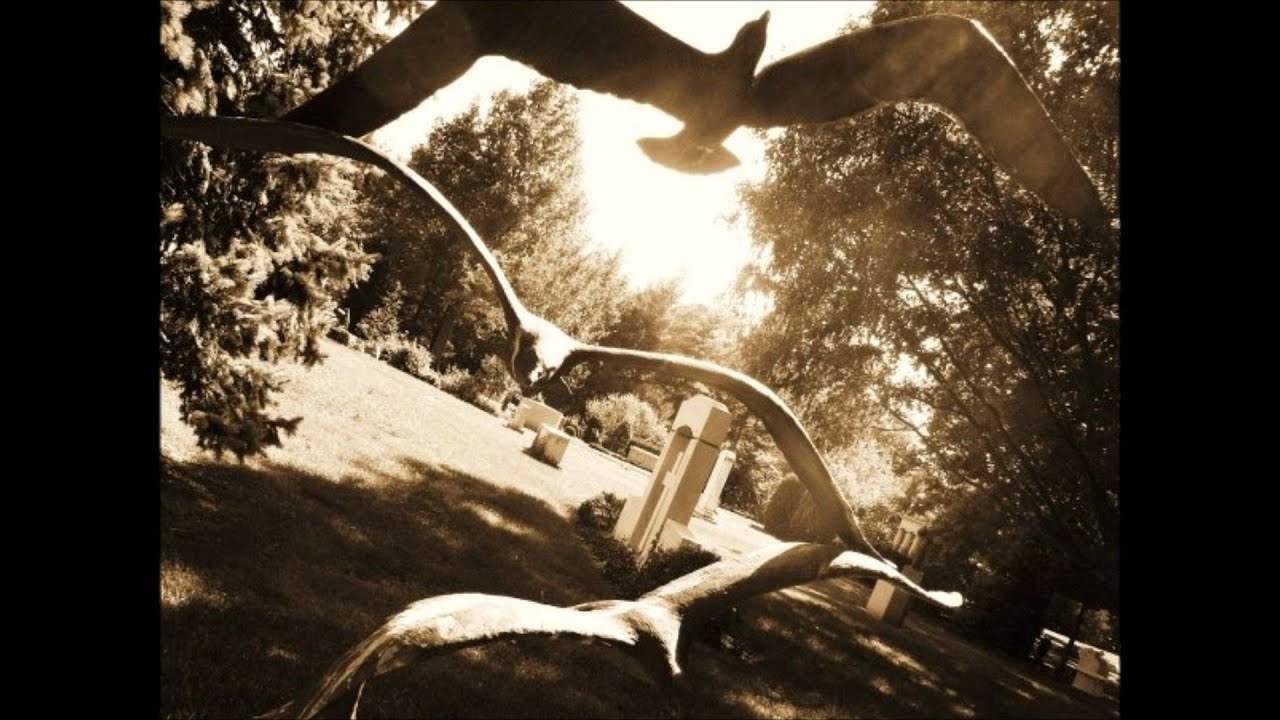 Various Photography by Patrick Saylor - YouTube