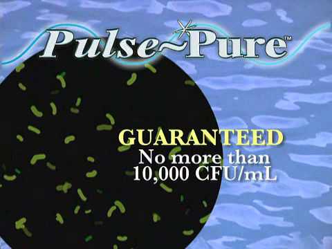 Pulse Pure Video - YouTube