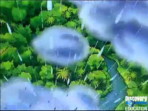 The Magic School Bus-Clouds and Drizzle - YouTube