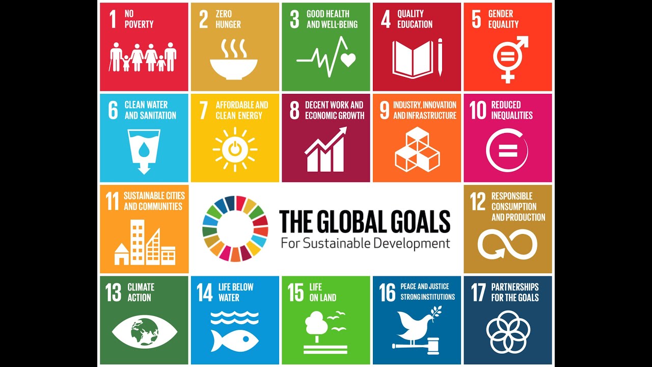 Interconnected SDGs - YouTube