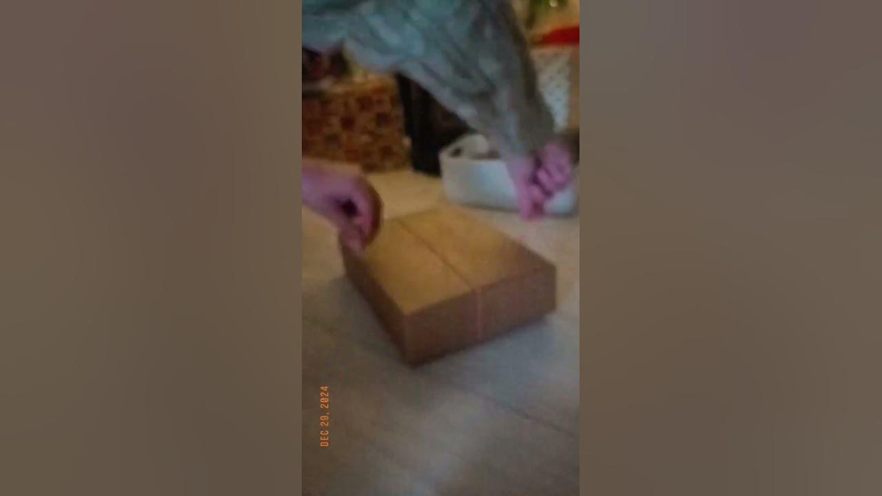 На Деда Мороза надейся, а сам не плошай 🎁🎄 - YouTube