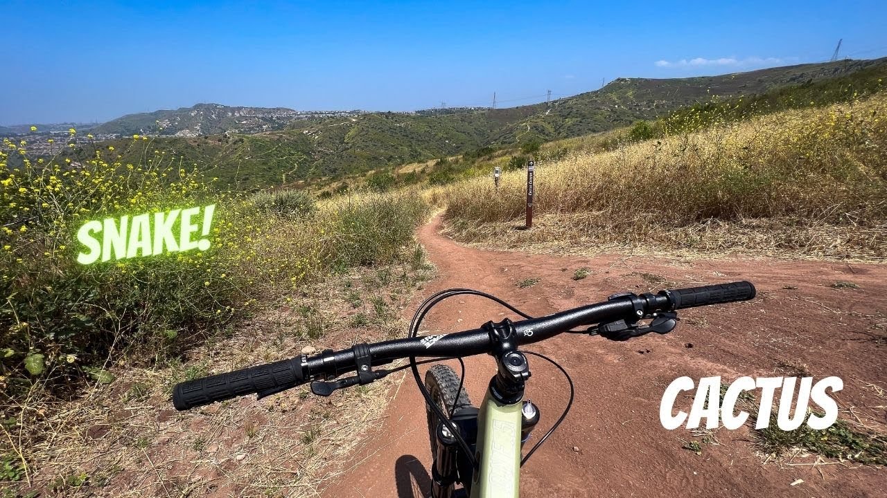 Cactus & Yucca, Santiago Oaks CA | Mountain Bike Ride in SoCal - YouTube