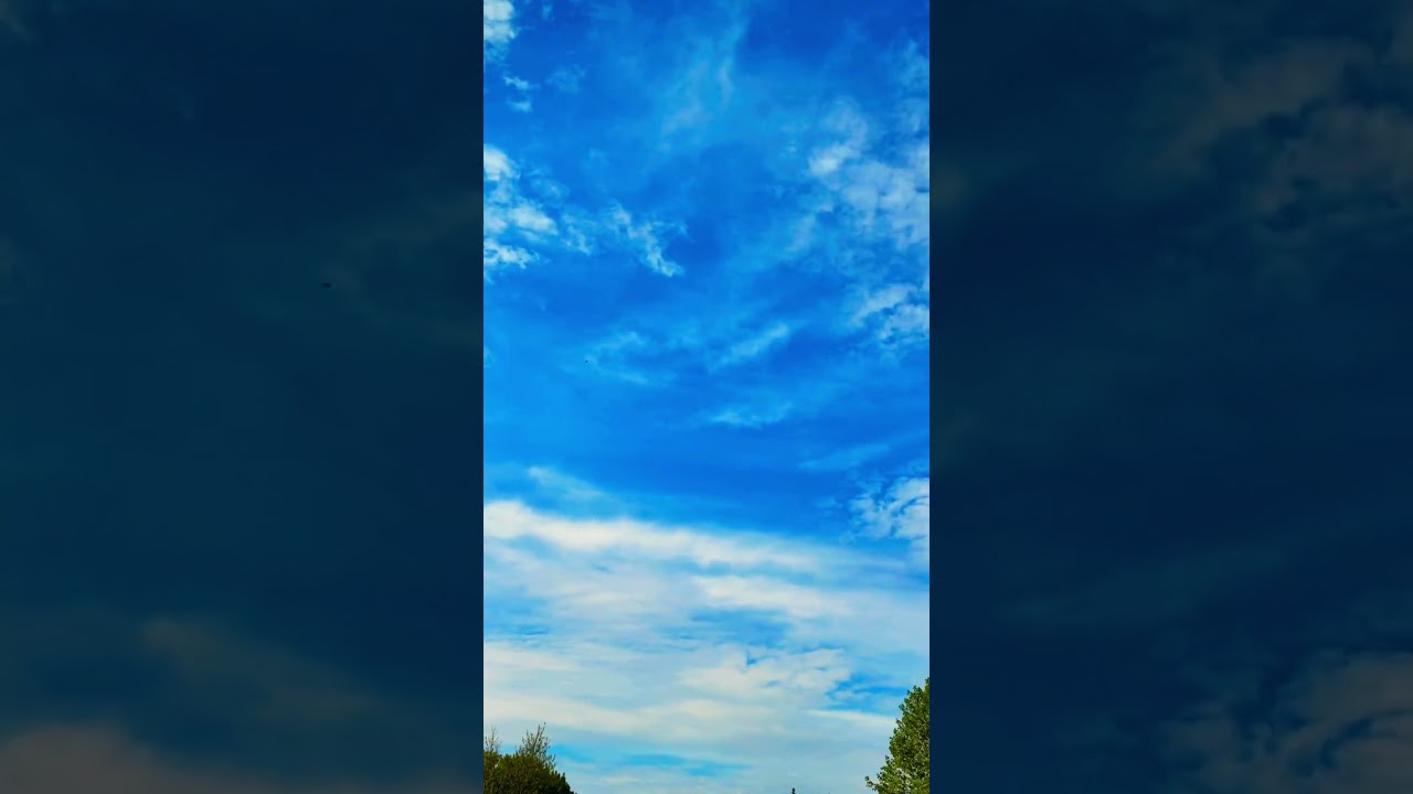 Why Spring is the MOST Exciting Season | Sky Spectrum Studios