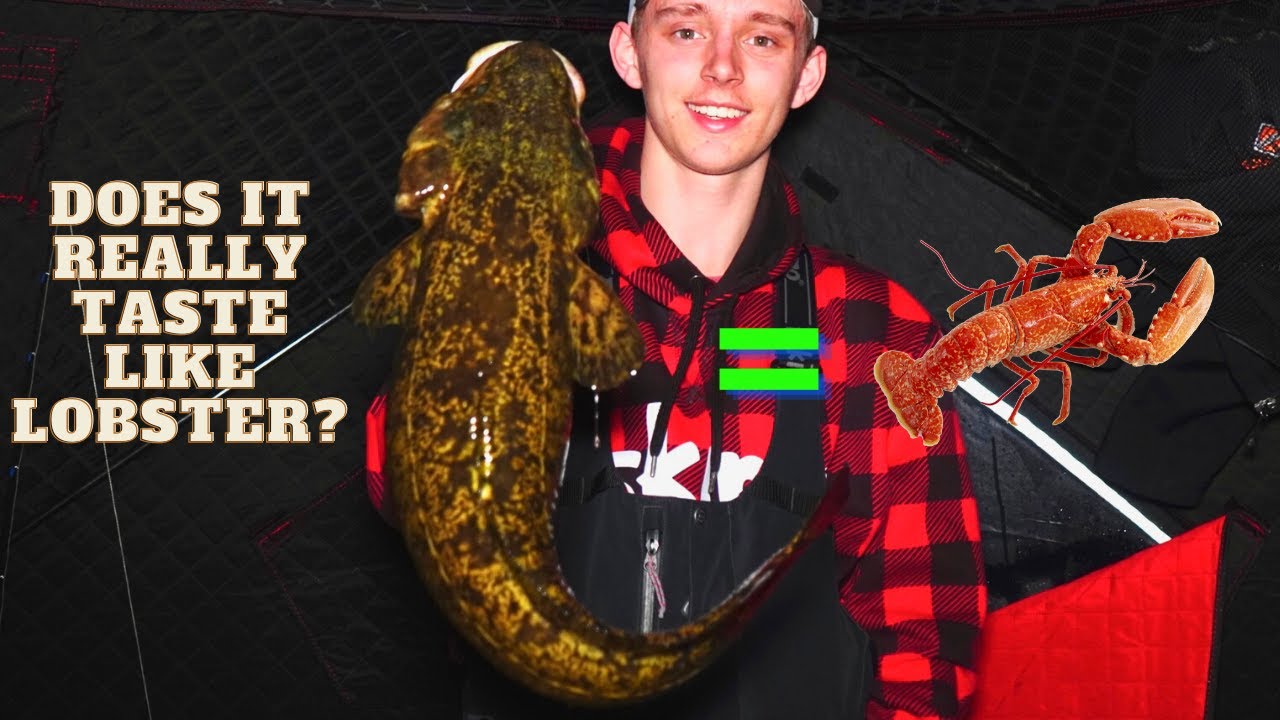 Eating "Poor Man's Lobster" Burbot Catch and Cook + The Best Recipe For ...