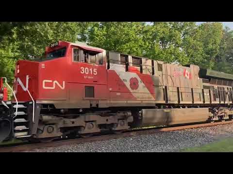 Another video of CN Z195 with both veterans locomotives - YouTube