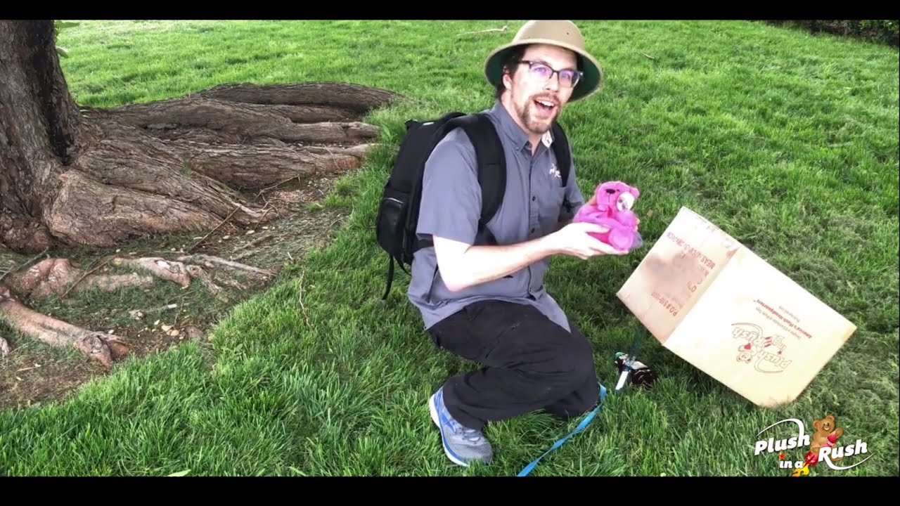 "Professional" Bear Hunting, a Tutorial by Plush in a Rush - YouTube