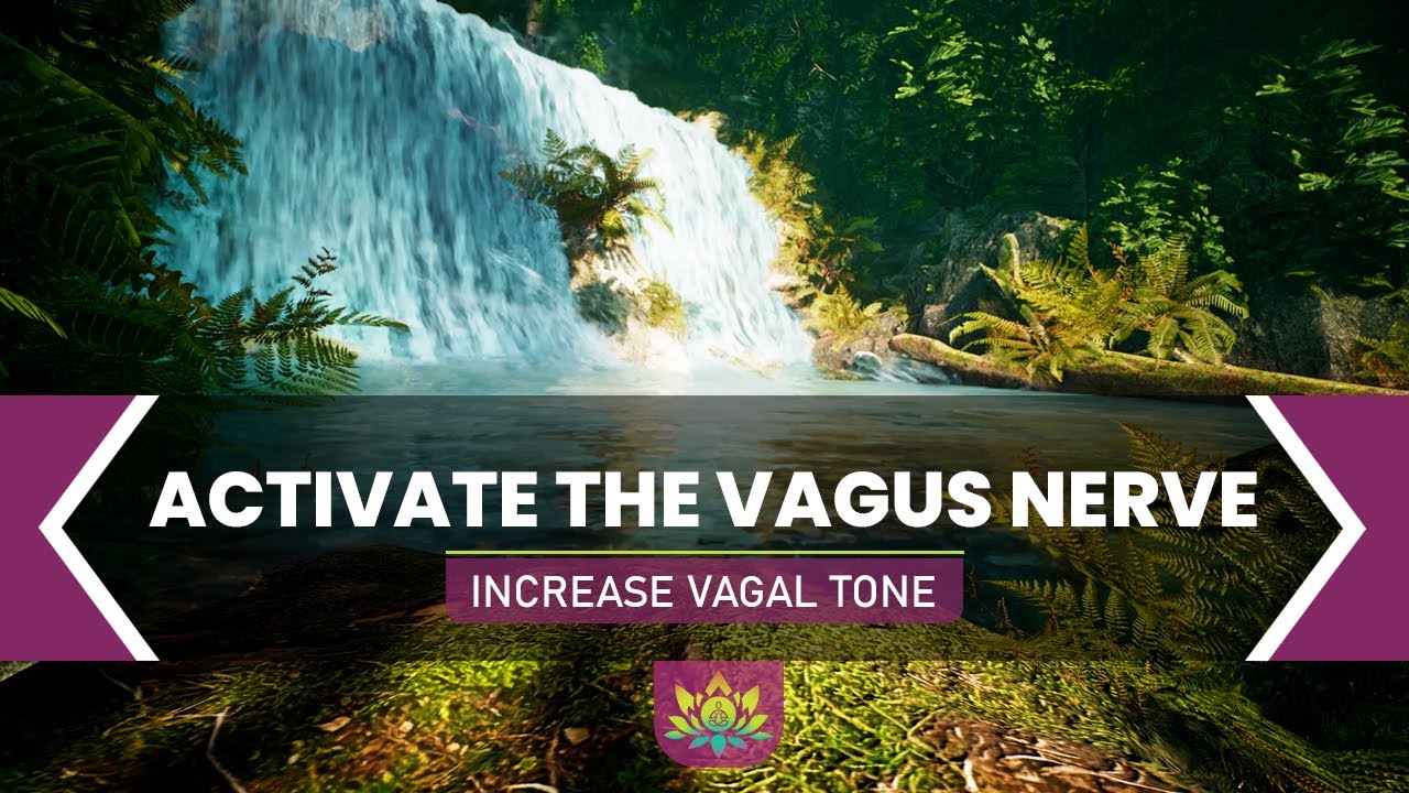 Activate The Vagus Nerve & Increase Vagal Tone | Build Resilience ...