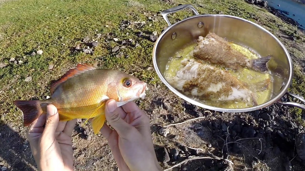 Catch and Cook Invasive Snapper - From the Beach to the Pan - Hawaii ...
