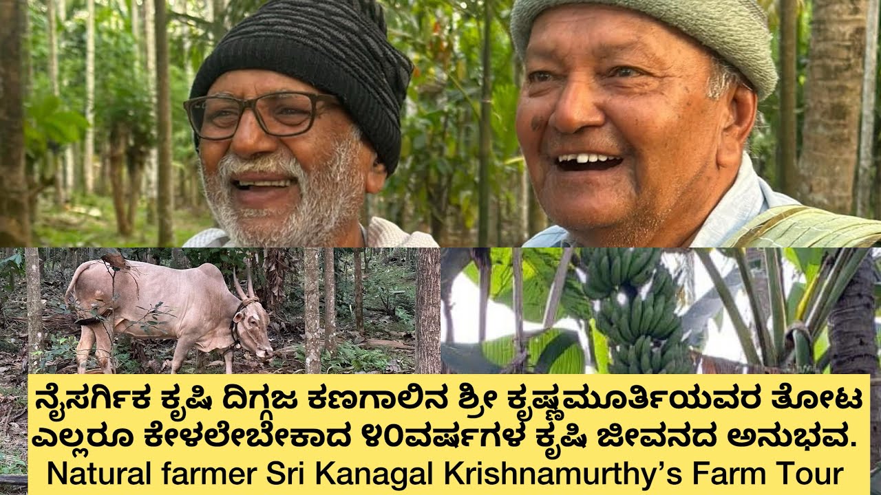 Natural farmer Sri Kanagal Krishnamurthy’s Farm Tour ನೈಸರ್ಗಿಕ ಕೃಷಿಕ ...