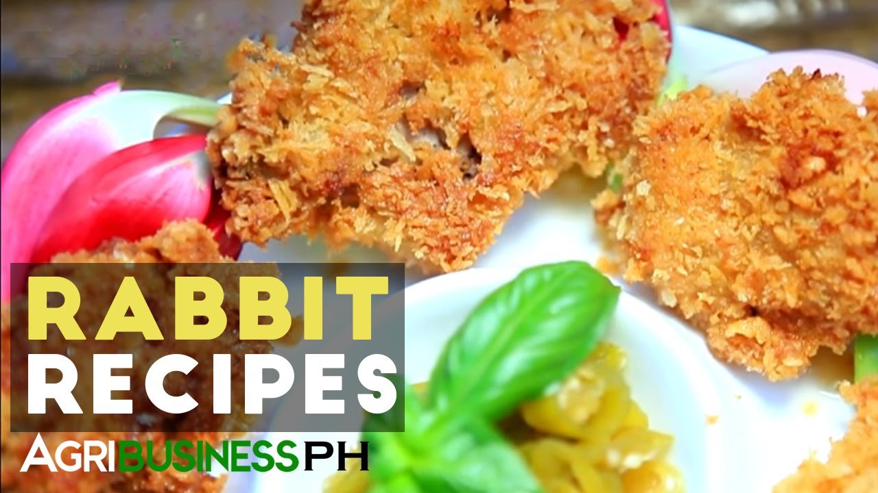 Rabbit Recipes : Rabbit Recipes Alternative Protain | Agribusiness ...