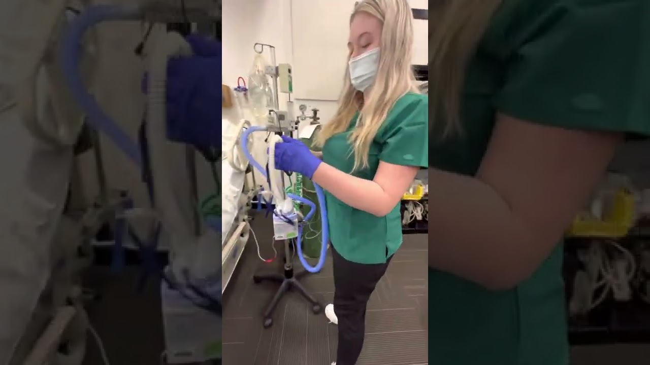 Heated High Flow Nasal cannula - YouTube