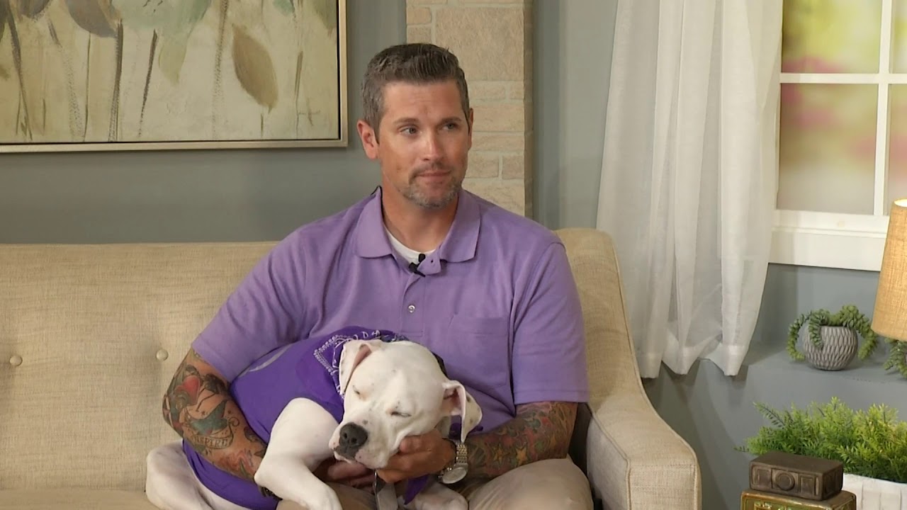Cole the Deaf Therapy Dog - YouTube