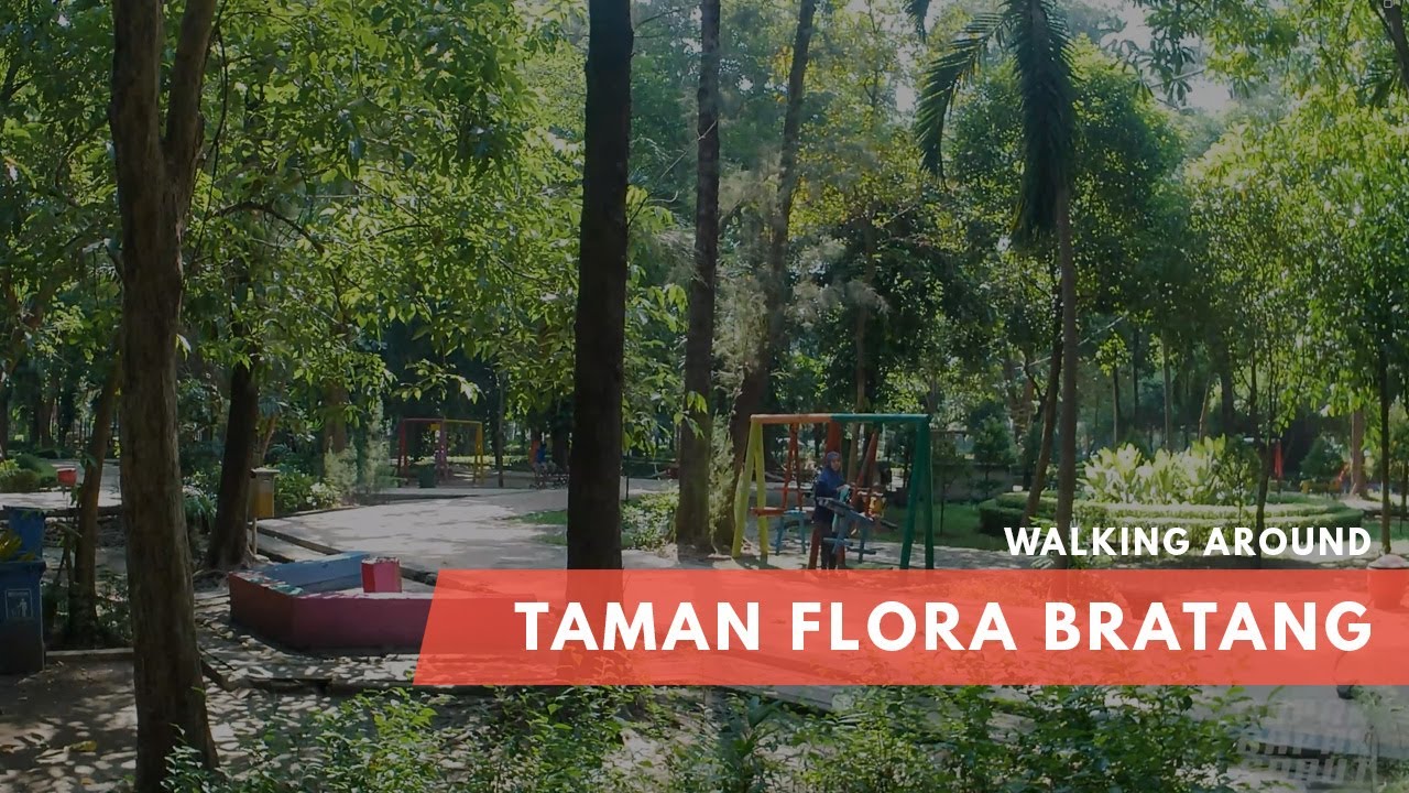 Taman Flora / Kebun Bibit Bratang [Walking Around} - YouTube