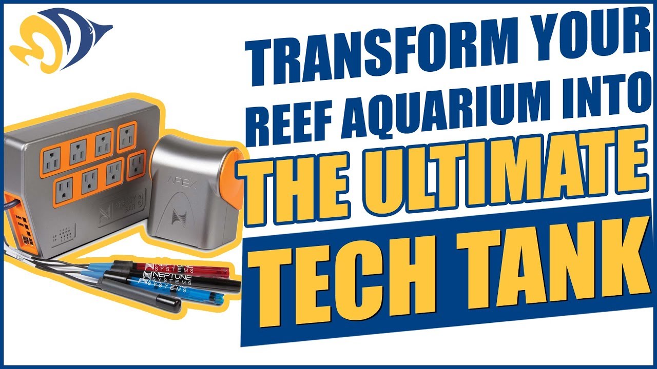 Transform your reef aquarium into THE ULTIMATE TECH TANK - YouTube