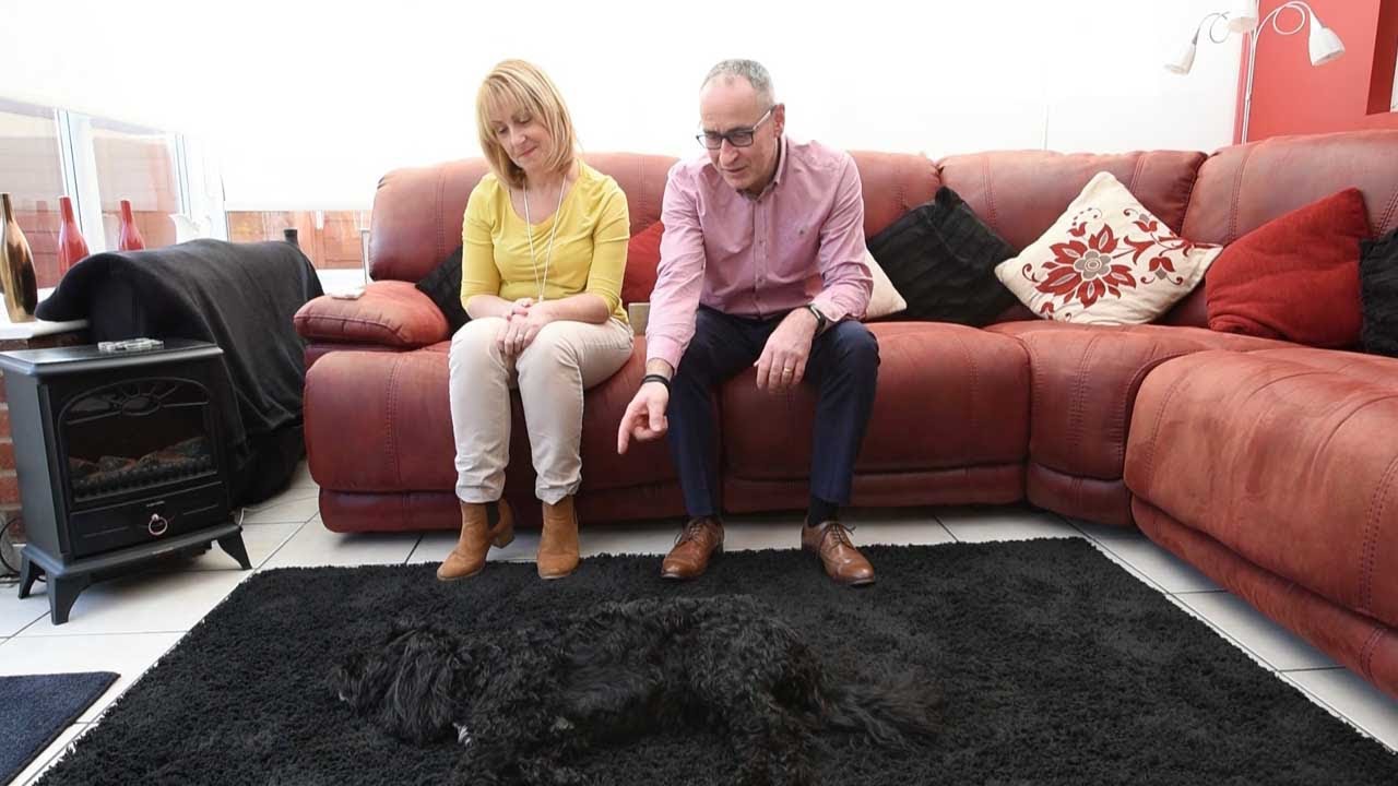 Camouflaged Dog Blends In With Rug - YouTube