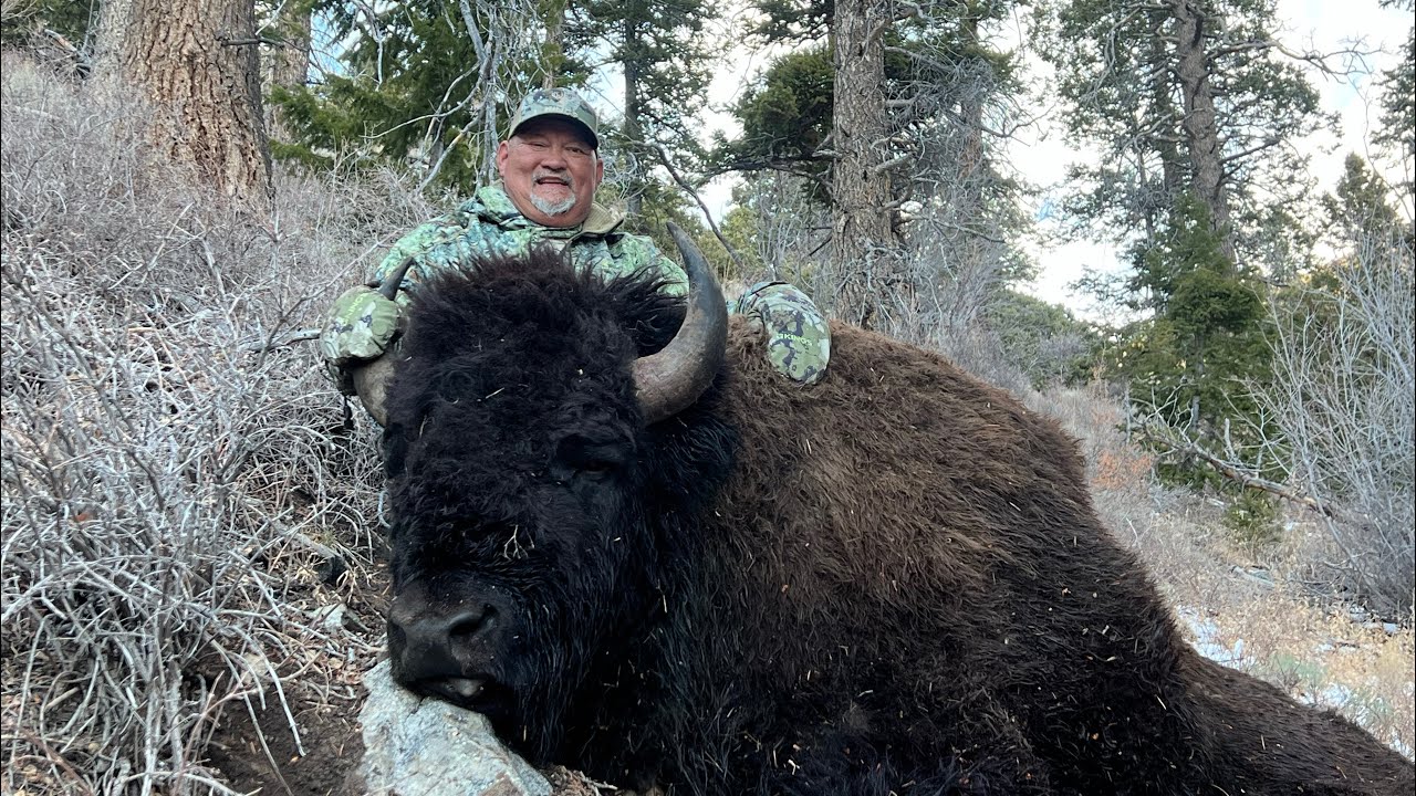 Bison Hunt Henry Mountain Range Utah - YouTube