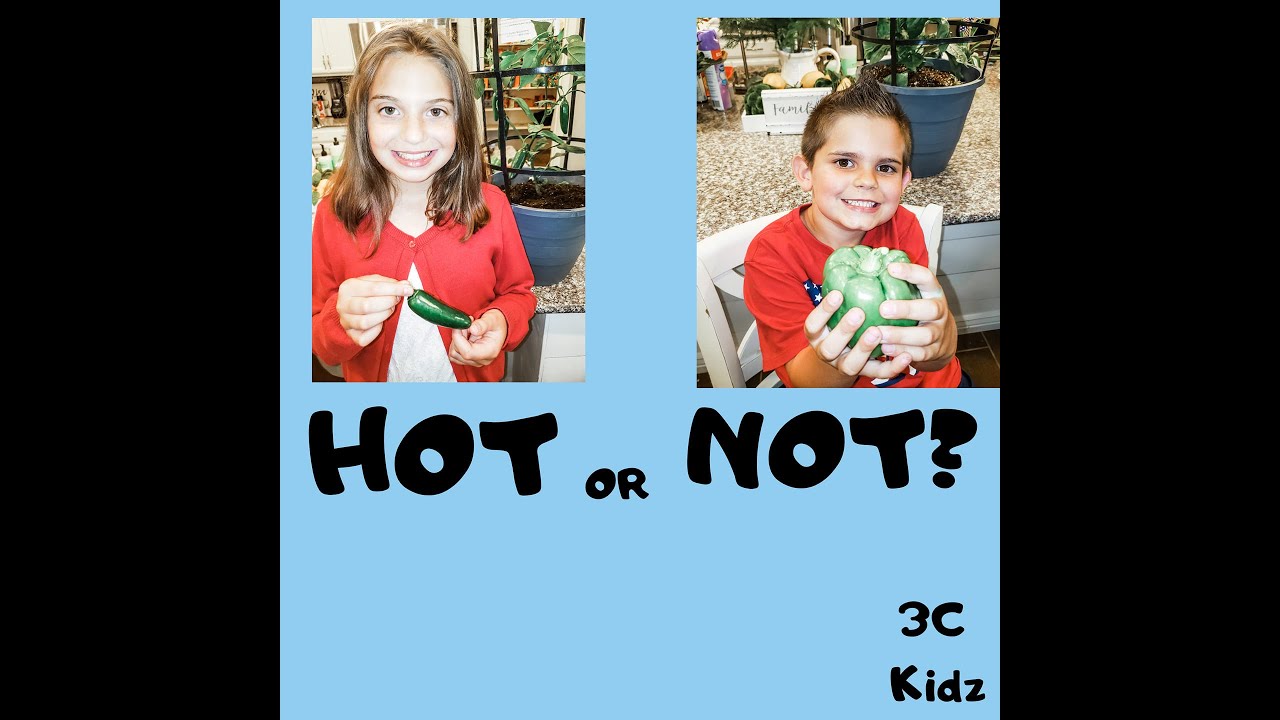 Hot or Not Challenge - YouTube