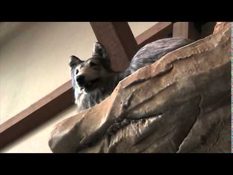 Demonic Possessed Wolf Statue - YouTube