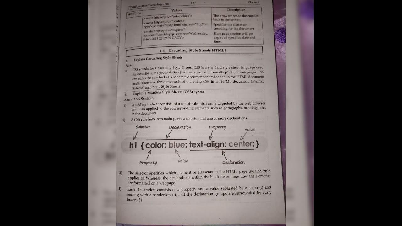 TPS of 12th standard...IT subject...chapter 1:Advanced web designing ...