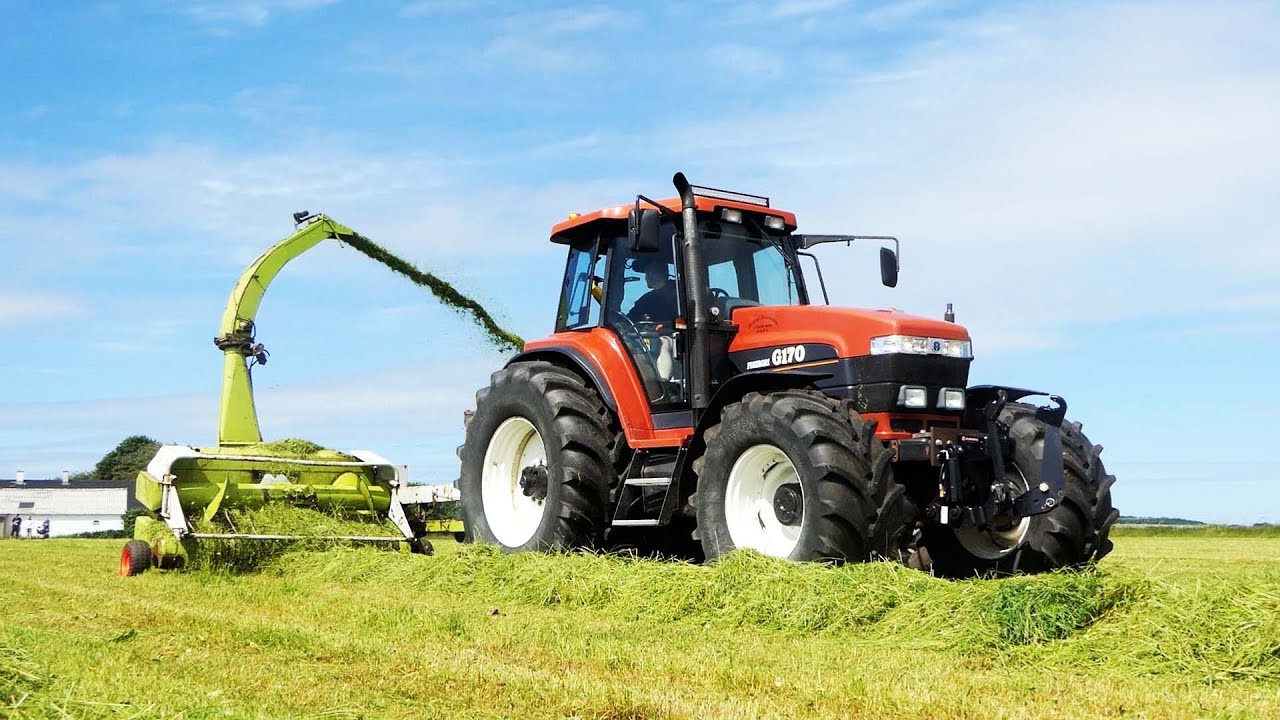 Fiatagri G170 in the field chopping grass w/ Claas PU220 Forage ...