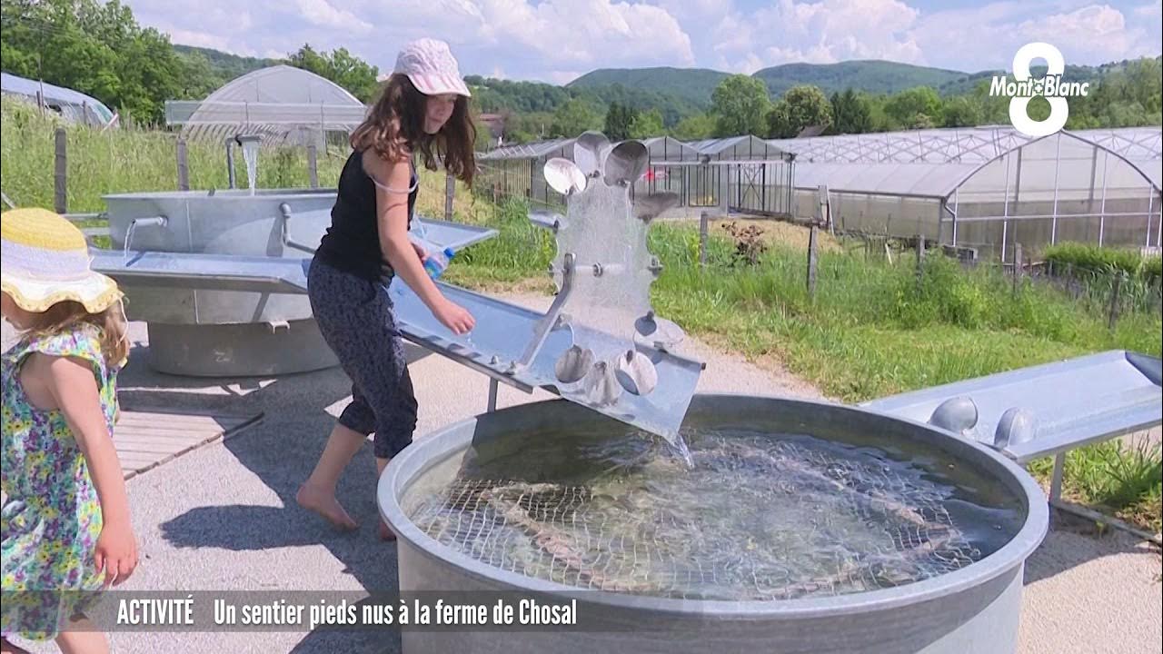 Activité Nature : Un sentier pieds nus à la ferme de Chosal - YouTube